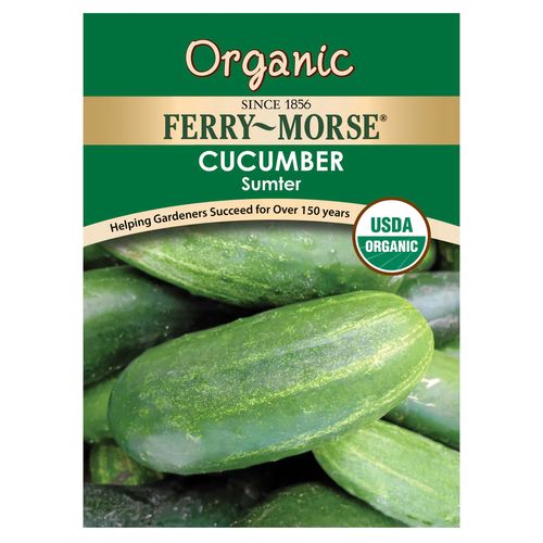 Cucumber Sumter | Agri Supply