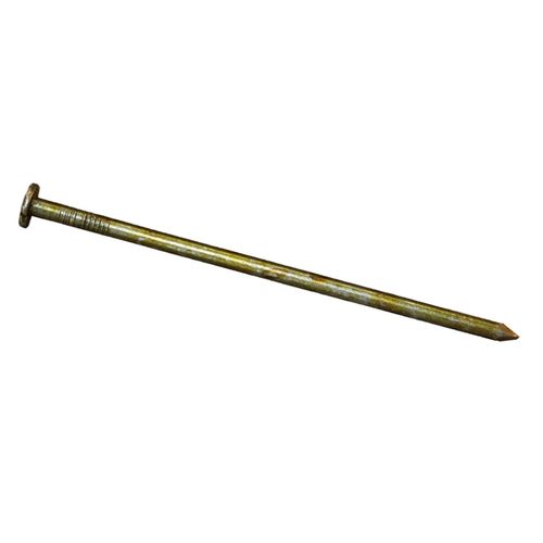Nail Sinker Vinyl-Coated 10D 2-7/8 in. 5 lb. | Agri Supply