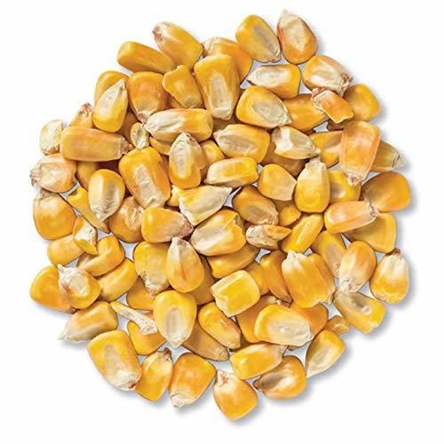 Whole Corn | Agri Supply