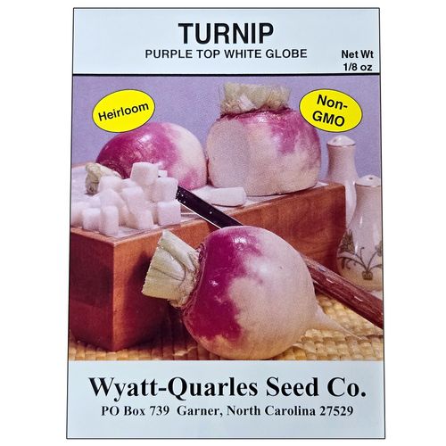 Purple Top Turnip Seeds 1/8 oz. Pack | Agri Supply