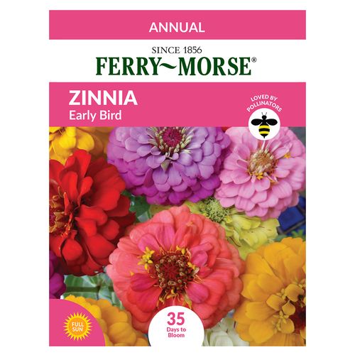 Zinnia Early Bird, Annual Flower Seeds | Agri Supply