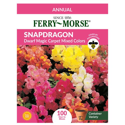 Magic Carpet Dwarf Snapdragon Seed Packet | Agri Supply