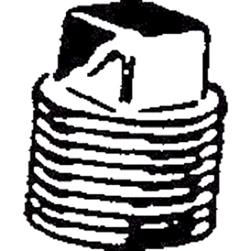 Galvanized Pipe Plug, 1-inch | Agri Supply